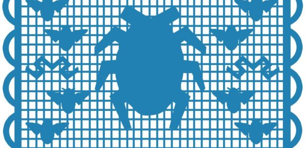 'Blue Beetle Graduation Day' Comic Book Series to Debut in English and ...